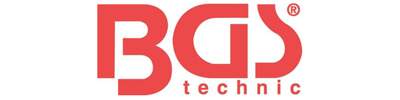 BGS